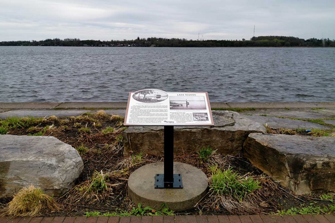 Port Perry - A sweet day trip destination - Roguetrippers